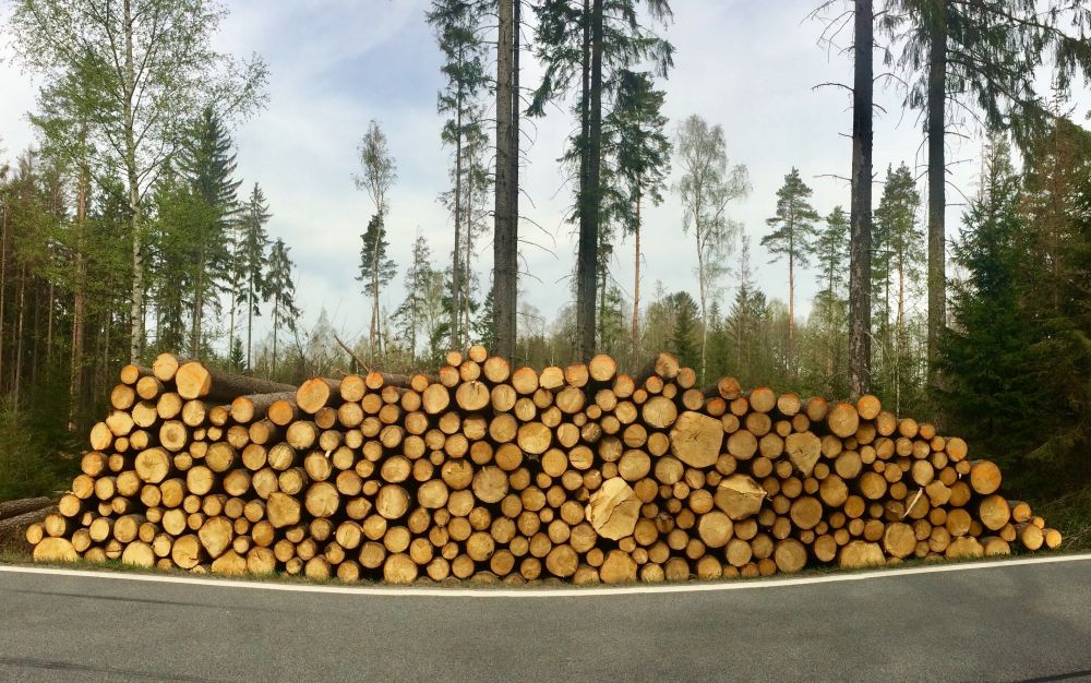 O zpracování dřeva s Alešem Erberem | Dřevostavby, časopis o bydlení ...