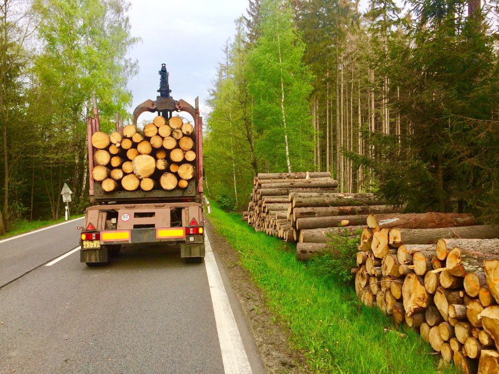 O zpracování dřeva s Alešem Erberem | Dřevostavby, časopis o bydlení ...